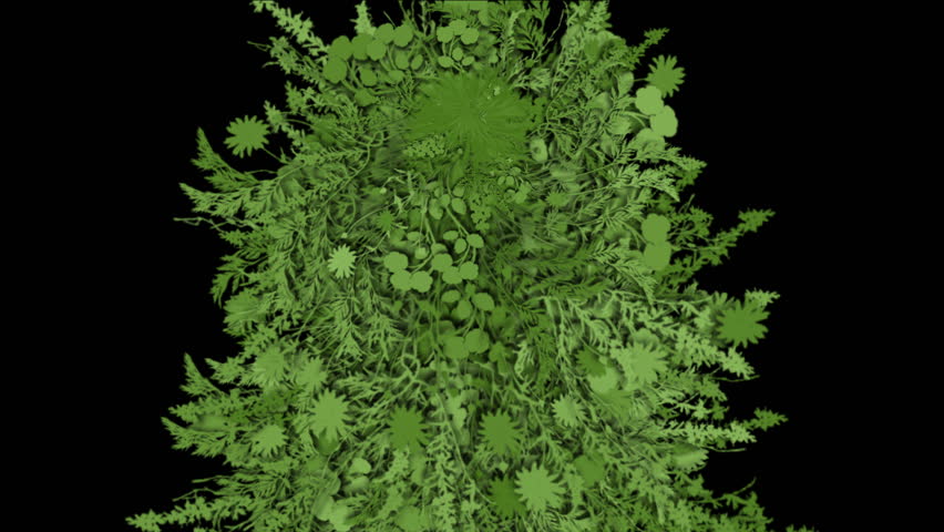 Animation Bush, Leaves Rustling In The Wind, With An Alpha Channel ...