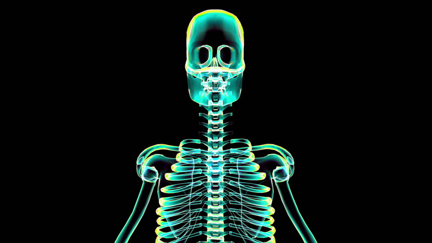 X-ray Scanning Man With Body Zoom - Green. HD 1080. 3D Animation. Stock ...