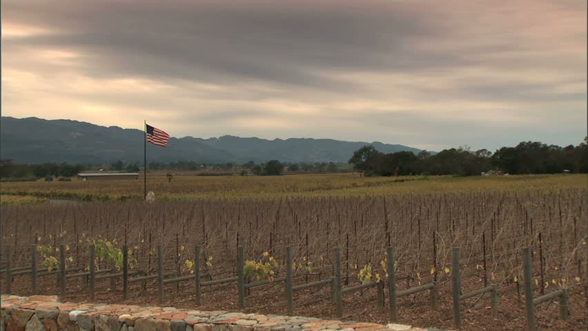 Napa Vineyard with American Flag Stock Footage Video (100% Royalty-free ...