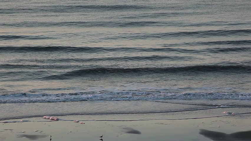 Waves washing on the beach at Myrtle Beach, South Carolina image - Free ...