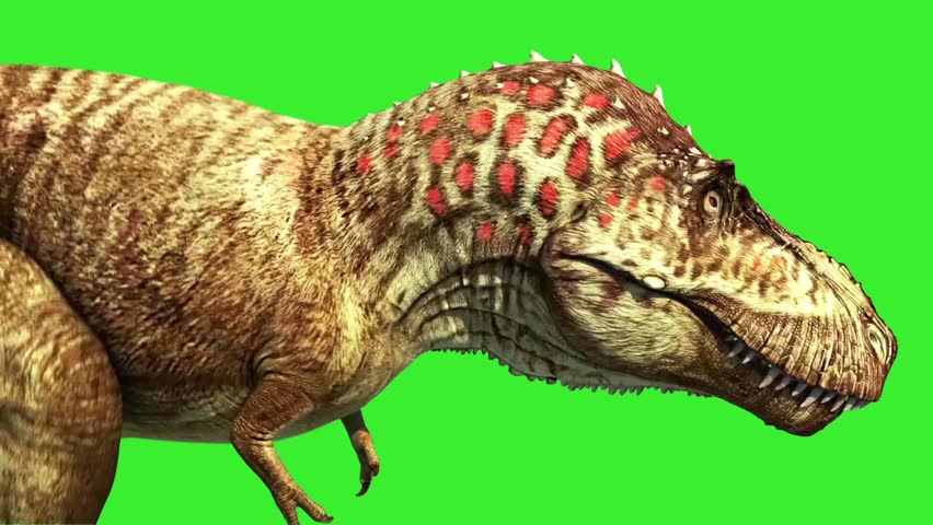 T Rex Tyrannosaur Feathered Roar Close Up Loop Jurassic World Dinosaurs ...