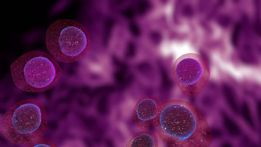 Human Cells, 3D Animation Stock Footage Video 14984650 | Shutterstock