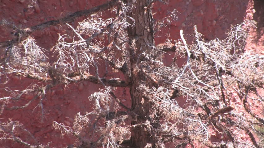 Devils Kitchen Rock Formation On The Nebo Loop Scenic Byway Road In ...