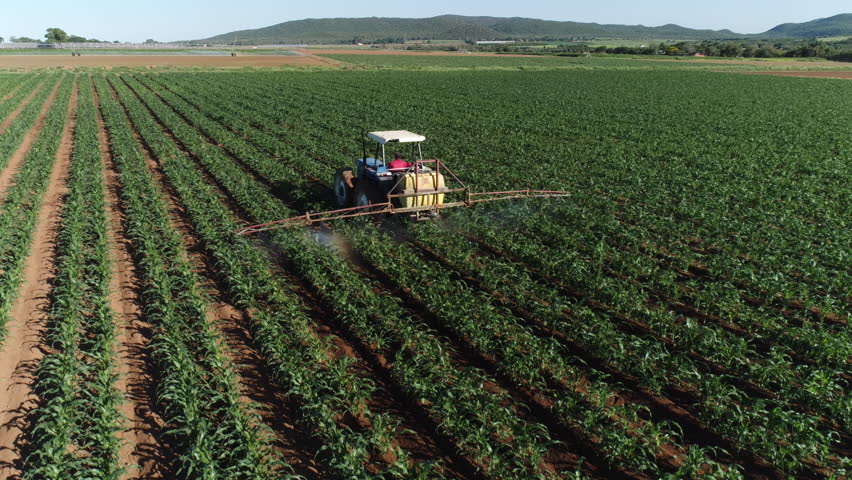 4K View Of Tractor Spraying Vegetables With Pesticide On A Large Scale ...