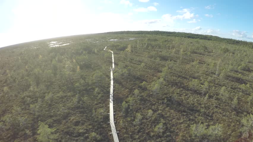 Swamp, Birds Eye View, Beautiful View From Above, Drone. Traveler ...