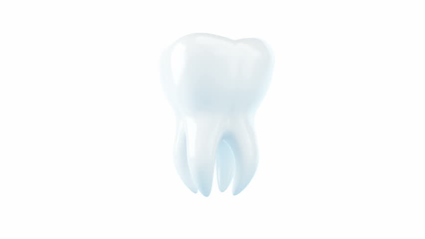 Animation Of Tooth Rotation. Green Screen And Alpha Matte Is Including ...