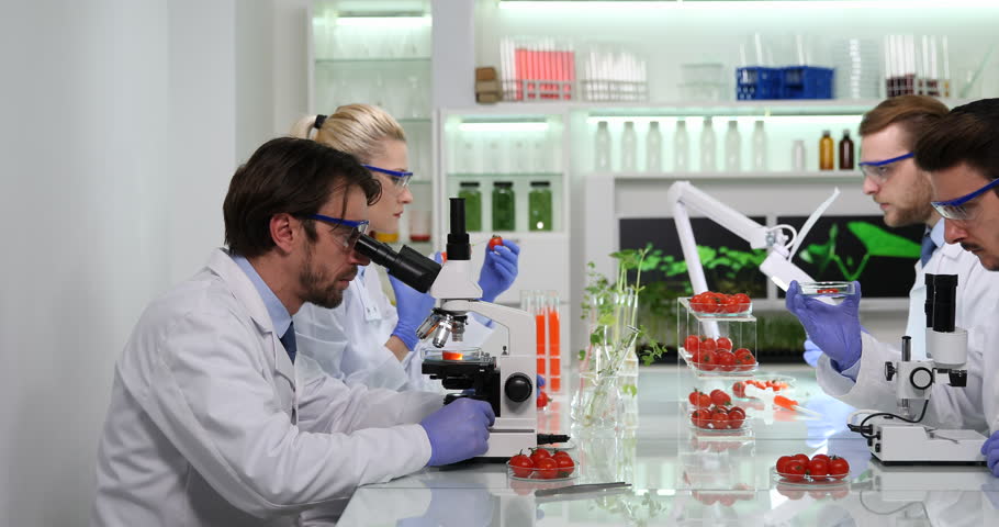 Stock Video Clip of Food Science Researcher Develop Biological Tests ...