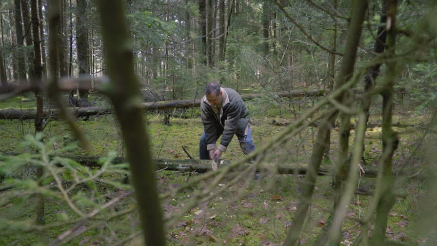 Spy The Man In The Woods/a Forest Spy Spying On Teen Boy Stock Footage ...