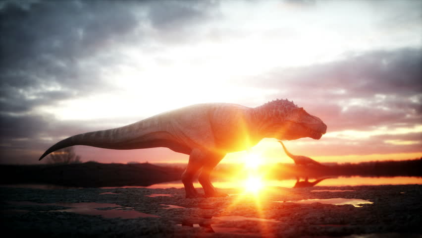 Dinosaur Stock Footage Video | Shutterstock