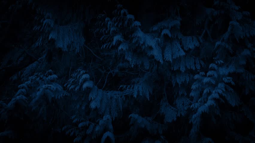 Dark Graphic Animation Background - Green Screen Background Created In ...