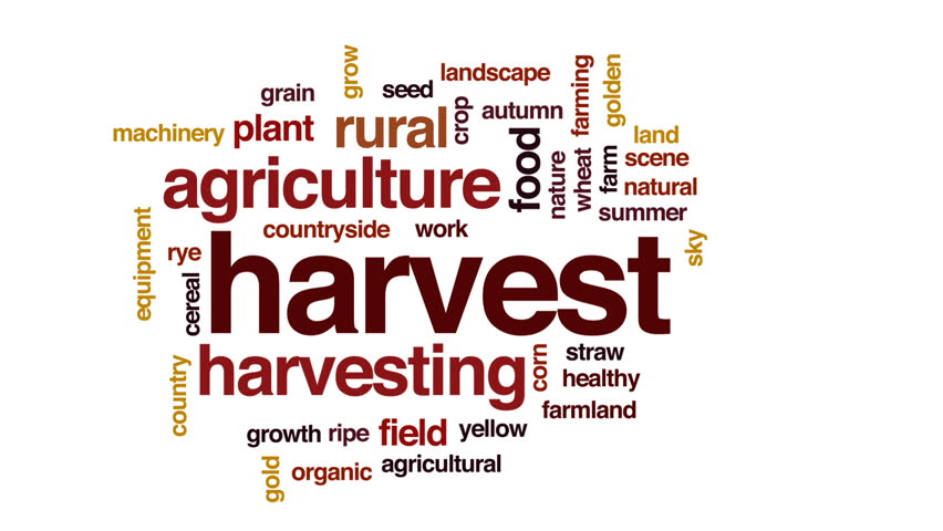 Harvest Animated Word Cloud, Text Stock Footage Video (100% Royalty ...