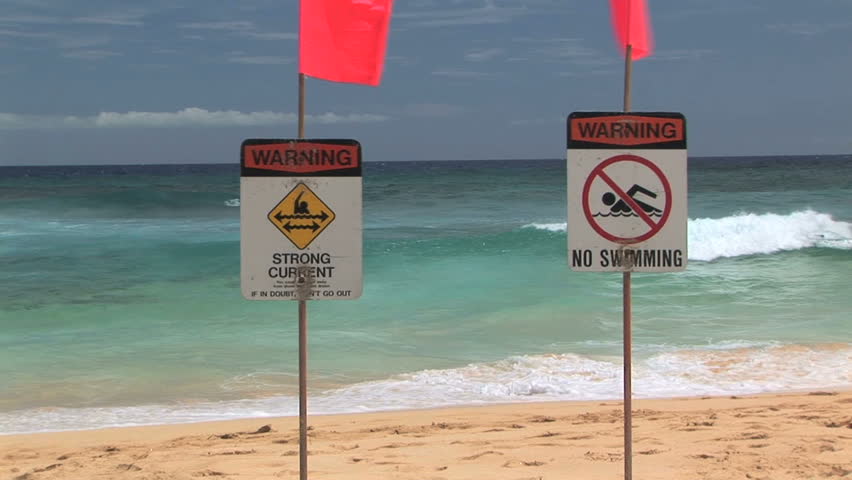 After A Non-fatal Shark Attack On Maui, Authorities Post Shark Sighting ...