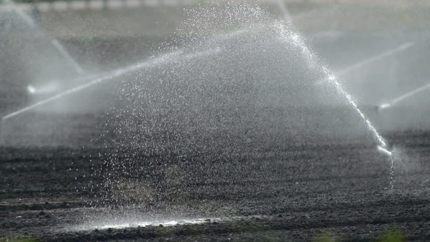 Sprinkler watering Farm in California image - Free stock photo - Public ...