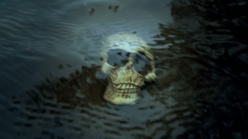 Varastovideo kohteesta skull on the seashore, the river | 29030095 ...