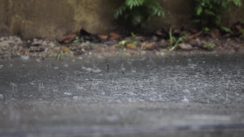 Stock video of rain drop down on the surface | 29425735 | Shutterstock