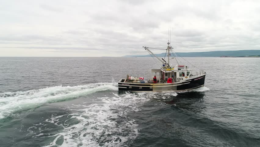 Locked Down Shot Of An Old Fishing Trawler With Many Seabirds Perched ...