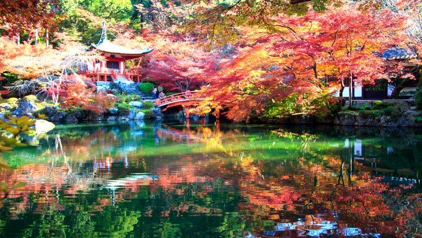 time lapse of Japanese autumn fall, Kyoto 的库存视频影片 | Shutterstock