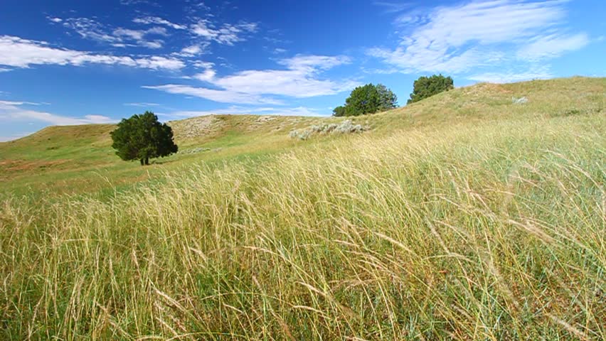 Stock video of prairie hillside under a gentle breeze | 3152695 ...