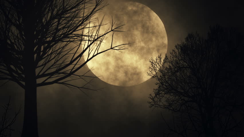 Spooky Full Moon Shines Over Dark Tree In Mist HD 1080p Stock Footage ...