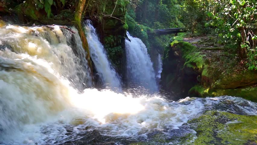 Aerial View Of The Amazon Jungle River Rainforest. Water Flowing ...