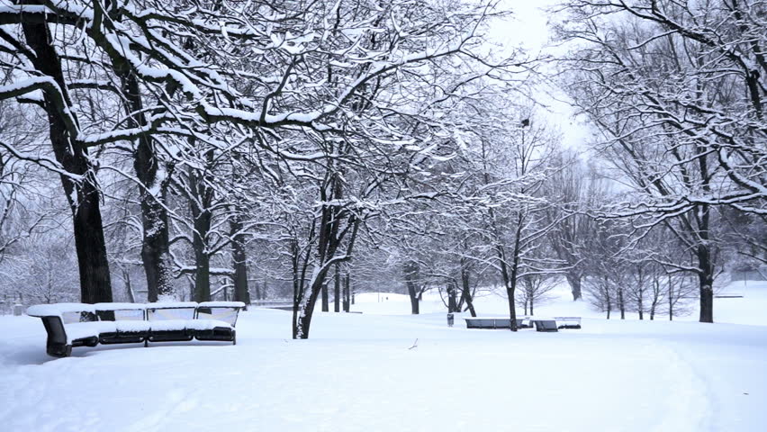 Snow Falling Stock Footage Video | Shutterstock
