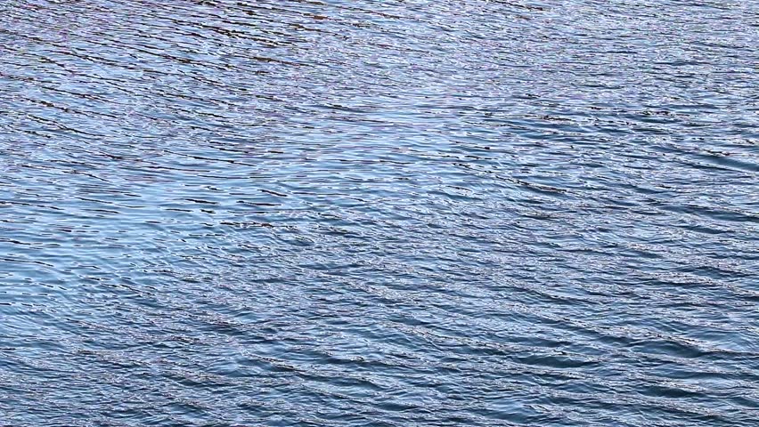 Lake Water Texture Stock Footage Video 1311949 | Shutterstock