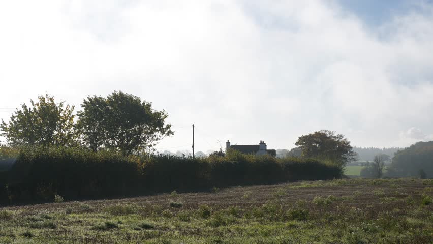 Stock video of bright misty morning rural landscape - | 32228425 ...