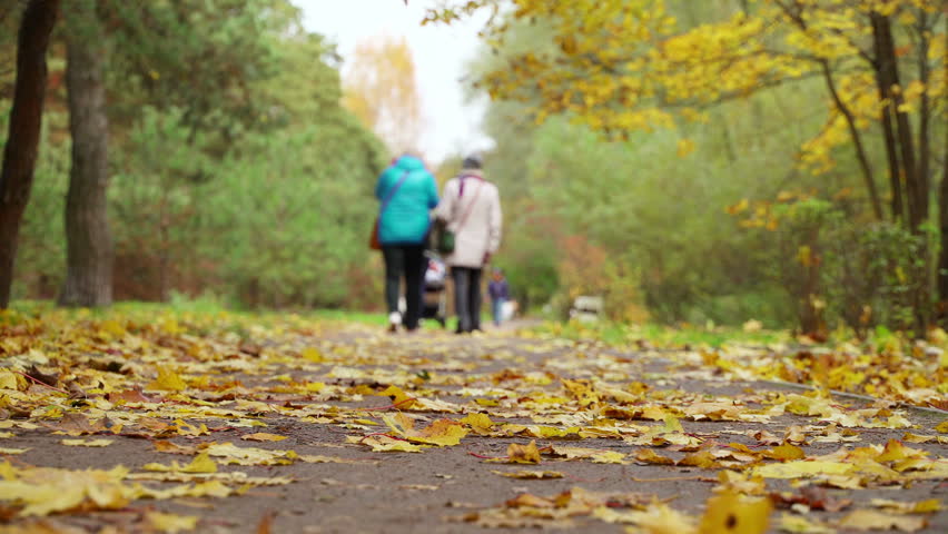 Stock video of people walking in autumn park | 32703085 | Shutterstock