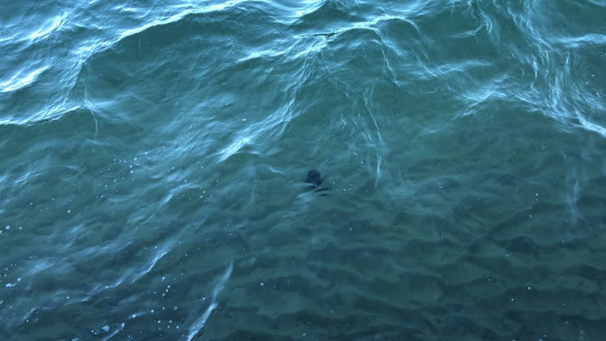 Blue Water Material Texture,abstract Color Underwater Pattern,Ocean ...
