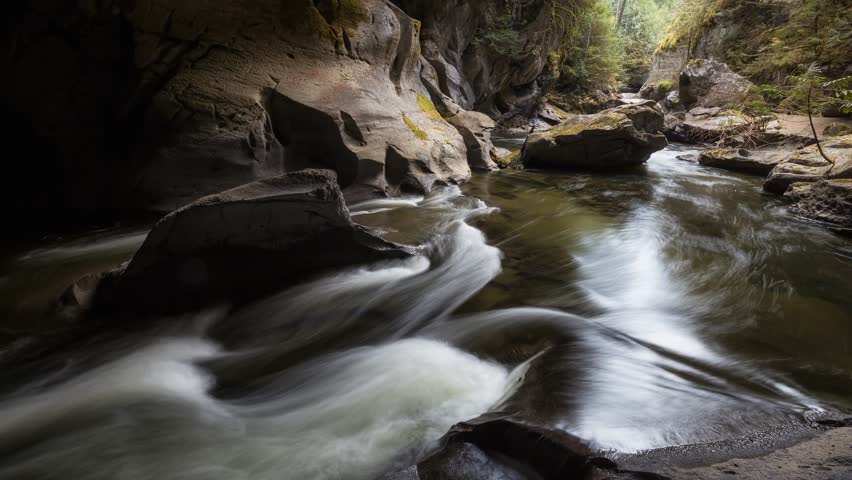 Stream landscape in British Columbia, Canada image - Free stock photo ...
