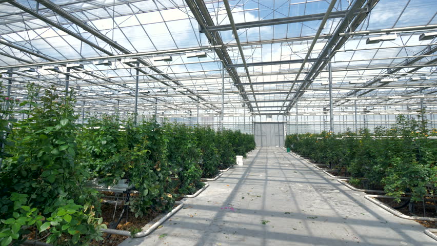 Corridor with flowers in the Garden image - Free stock photo - Public ...