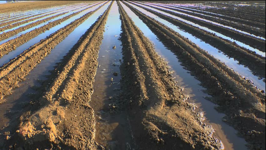 Стоковое видео «Agricultural Farm Irrigation Ditches Flow» (абсолютно ...