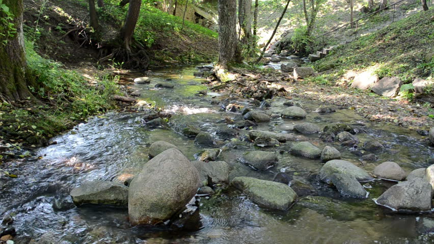 Stock video of park stream brook river water flow | 3485915 | Shutterstock
