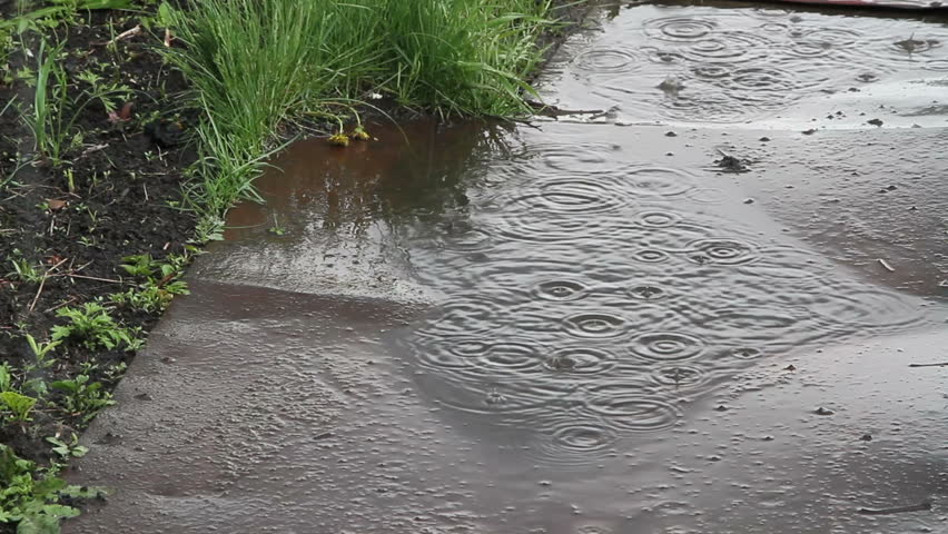 Green Dirty Flow, Shit Floating Over Raw Sewage Water Stream. Close Up ...