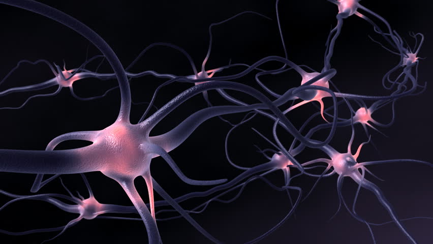Neuron Network. Neuron Structure Sending Electric Impulses And ...
