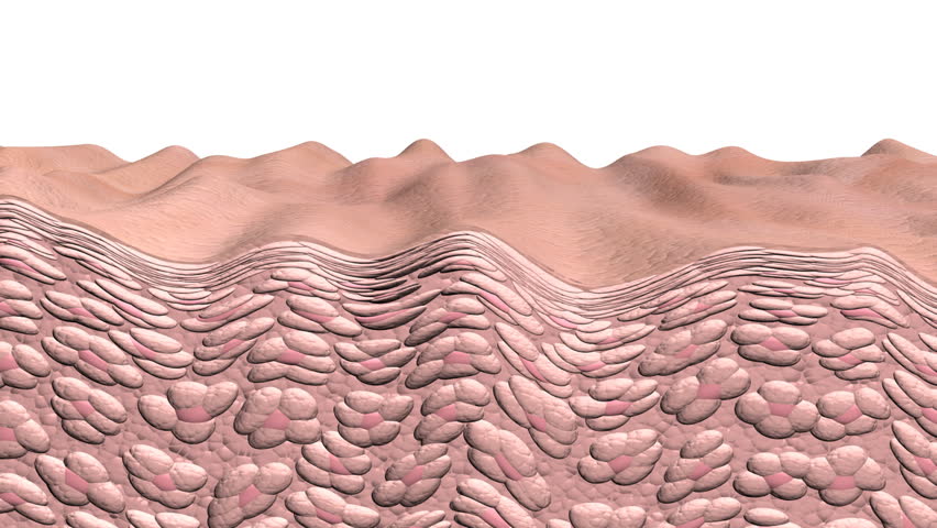 Stock Video Clip of Skin wrinkling pan. Skin aging animation showing ...