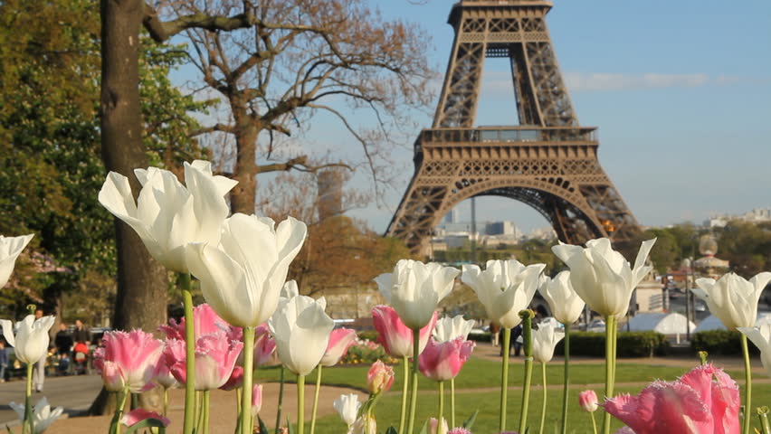 Stock video of springtime in paris. two shots. springtime in | 4072855 ...