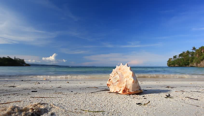 Seashell On Tropical Beach, Philippines, Boracay Stock Footage Video ...
