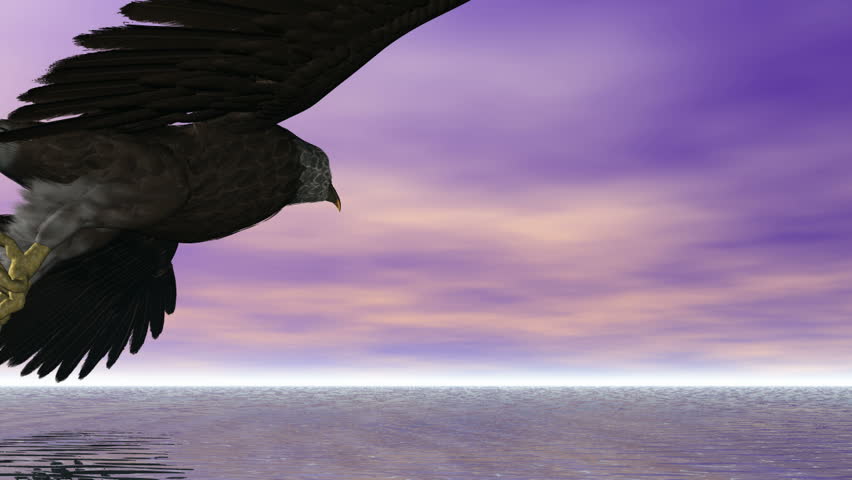 Animated Flying Eagle Stock Footage Video (100% Royalty-free) 43195 ...