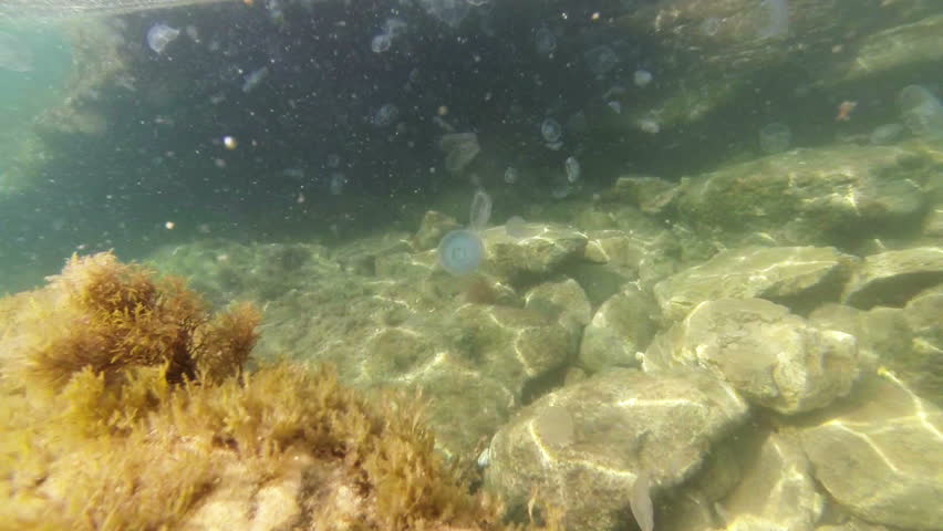 Underwater View Of The Lake And Its Lake Bed. The Soil Underneath The ...