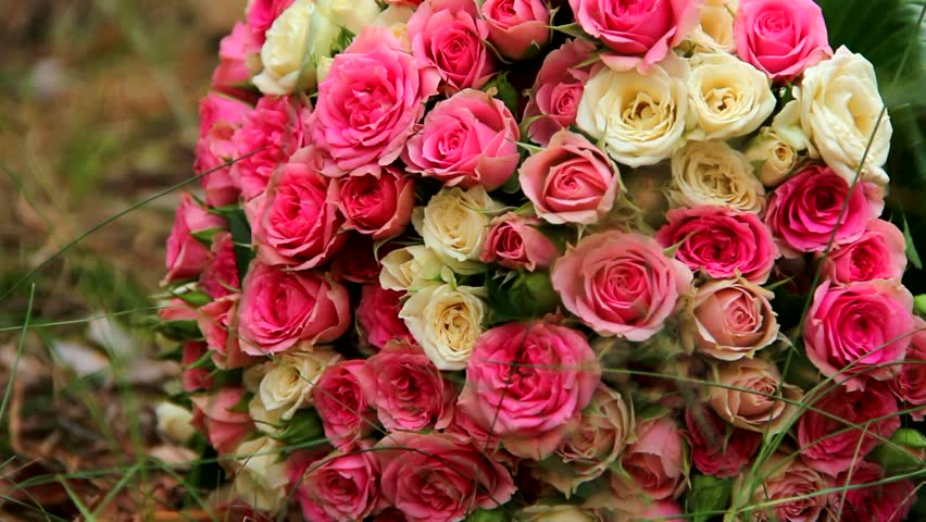 1920x1080 Light, Dark Pink, Red Roses Rotate, Reveal Exquisite Bouquet ...