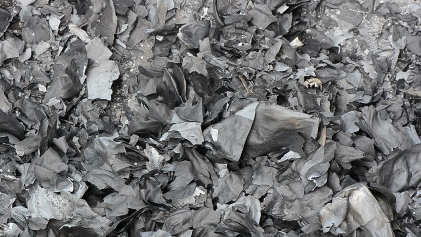 Stock video of burned paper ashes blowing by the | 5052185 | Shutterstock