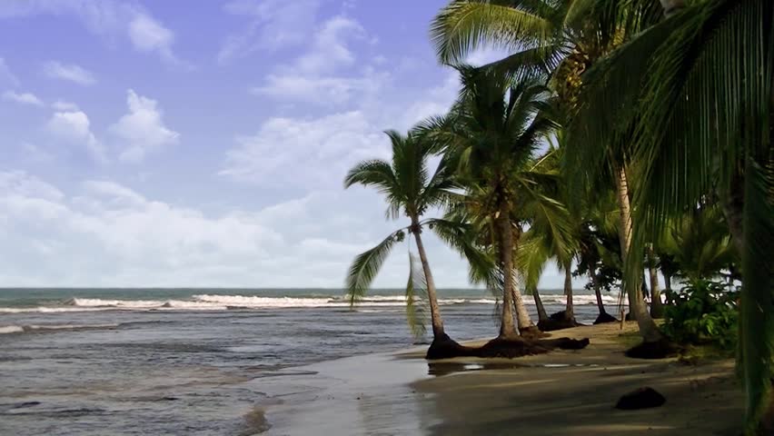 Tropical Morning in Costa Rica. Stock Footage Video (100% Royalty-free ...