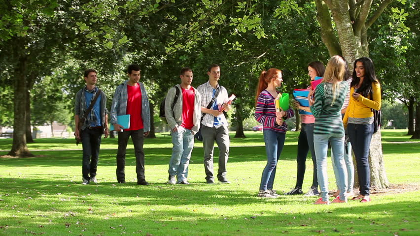Students Flirting Together Outside On College Campus Stock Footage ...