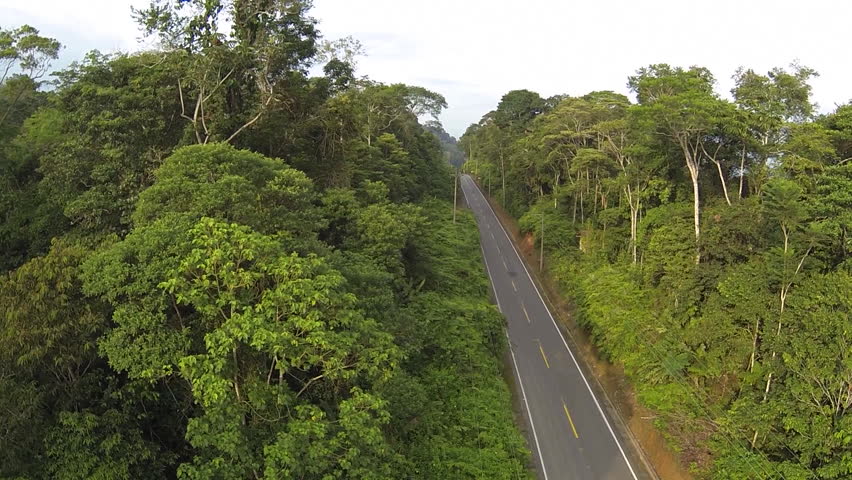 Amazon Rainforest Roads New Road Bulldozed Through Rainforest In