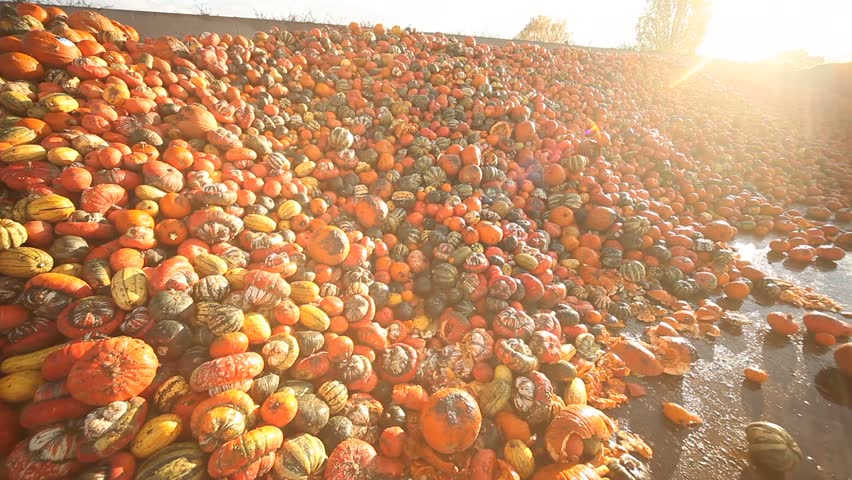 Video Footage of a Food Stock Footage Video (100% Royalty-free) 5510375 ...