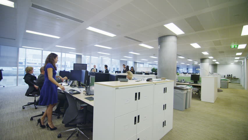 Attractive Diverse Business Group Working Stock Footage Video (100% ...