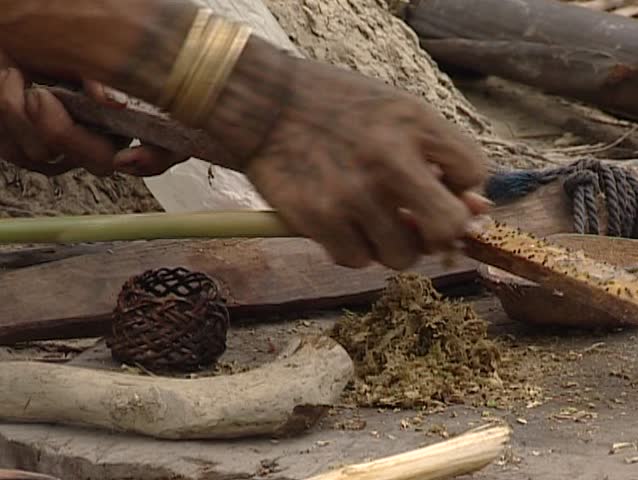 Mentawai Making Curare Poison Stock Footage Video (100% Royalty-free ...