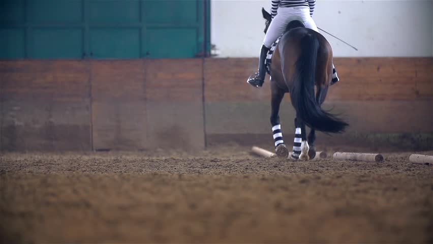 Slow Motion Horse Galloping In Riding Hall Stock Footage Video 5820896 ...