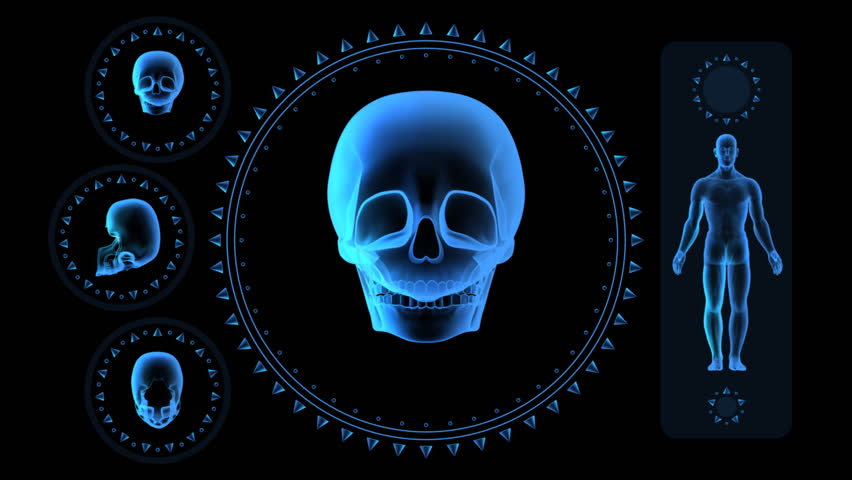 Human Brain Scan. Futuristic Medical User Interface With HUD And ...